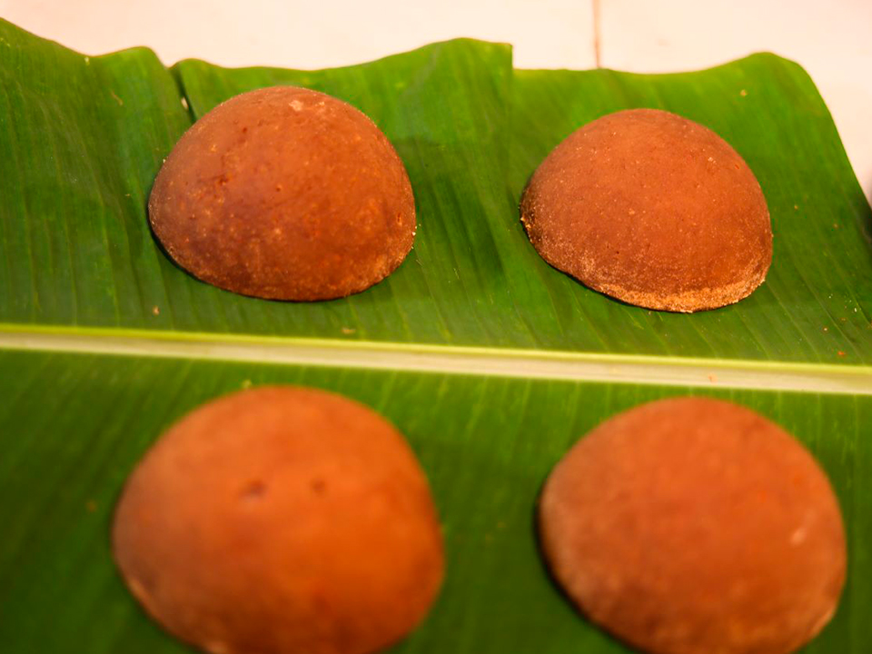 Recent Images – Kithul Development Board