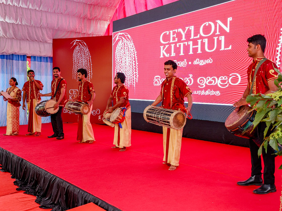 Recent Images – Kithul Development Board